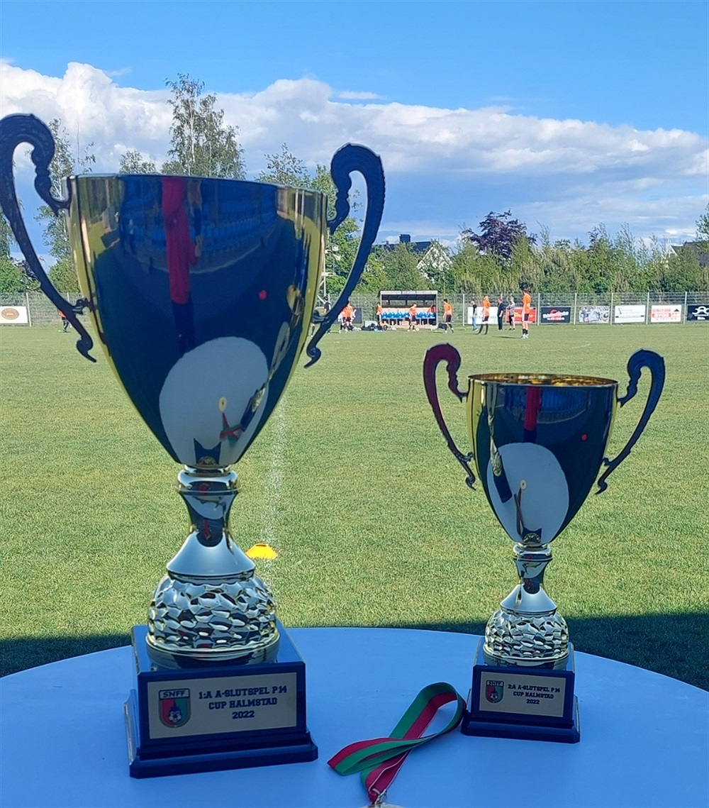 Snöstorp Nyhem FF - Svenskalag.se