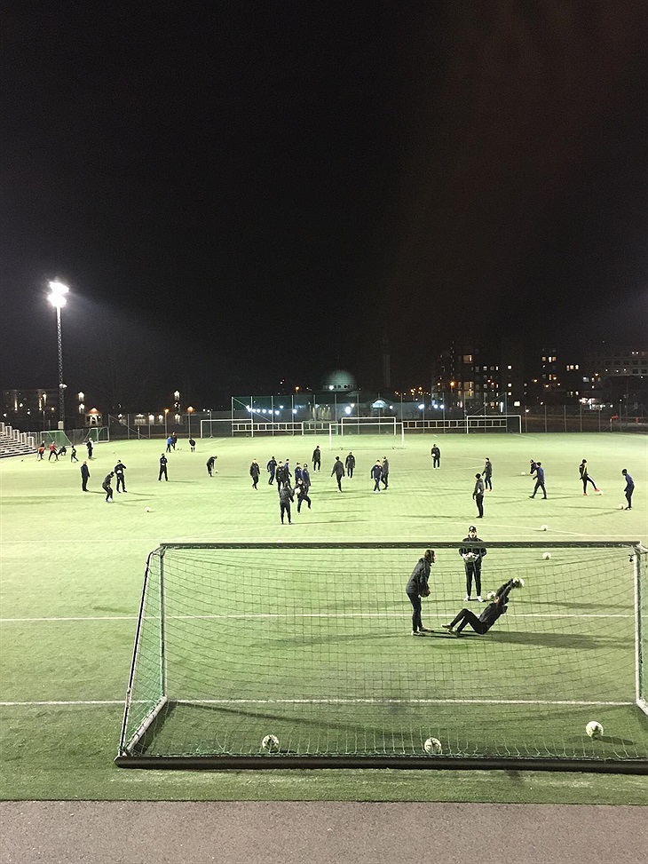 Procyon BK - Svenskalag.se