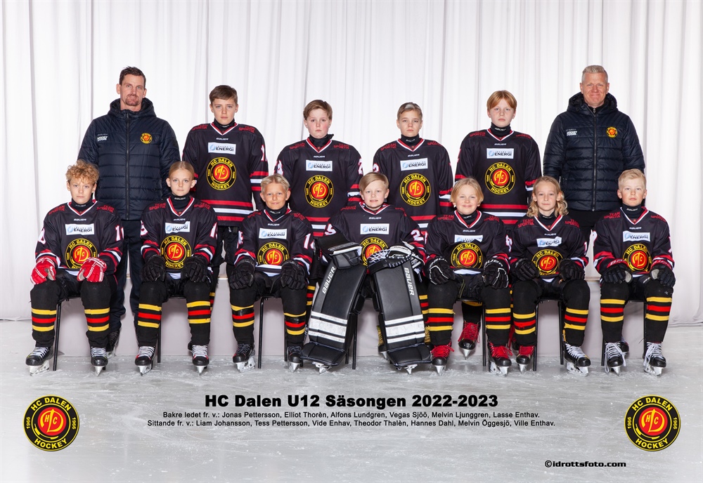 Truppen / HC Dalen - Team 11 (U13 - B2) - Svenskalag.se